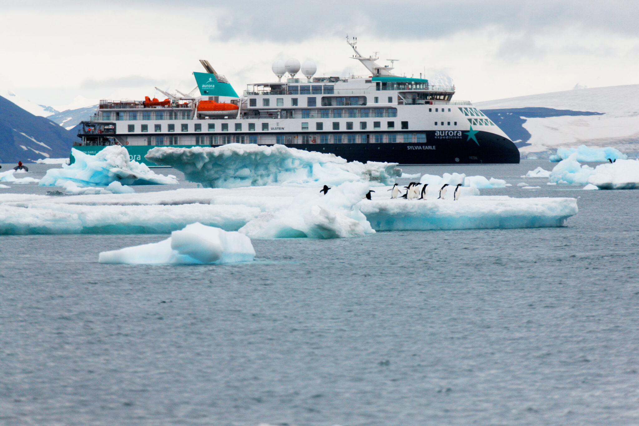 Svalbard Cruises 2026 & 2027: See Spitsbergen's Polar Bears
